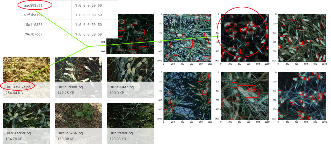 Object Detection